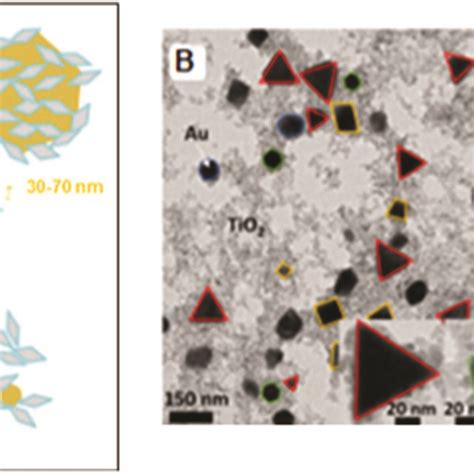 A Schematic Diagram Of The Two Step Mw Assisted Synthesis Of Au Tio2 Download Scientific