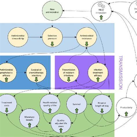 Causal Loop Diagram Demonstrating The Interactions Between Modelled Download Scientific Diagram