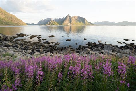 Exposure Blending In Lightroom A Comprehensive Guide And Workflow CaptureLandscapes