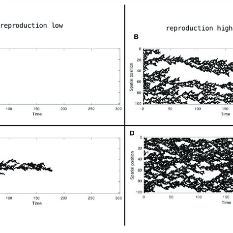 Spatial Position Y Axis Over Time X Axis Realization Of The Model
