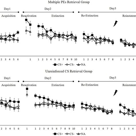 Mean Startle Potentiation To The Fear Conditioned Stimulus Cs The Download Scientific