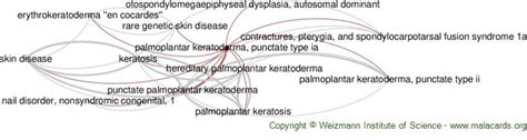 Palmoplantar Keratoderma Punctate Type Ia Disease Malacards