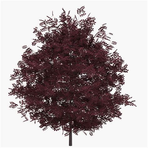 Buxus The Bush Is In Shape Of Ball 3d Model 16 Max Fbx Obj Mat Free3d