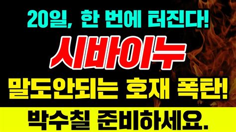 20일 한 번에 터진다 시바이누 말도안되는 호재 폭탄 박수칠 준비하세요 시바이누코인 시바이누코인전망 시바이누급등 Youtube