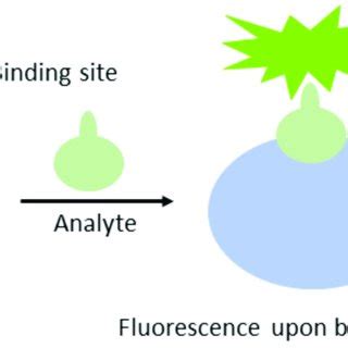 PDF Recent Advances On The Development Of Chemosensors For The Detection Of Mercury Toxicity