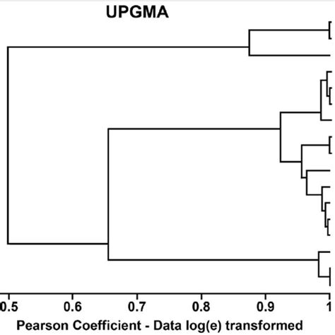 Dendrogram Of Upgma Showing Three Clustering Groups Among 17 Sampling