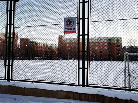 무료 이미지 자연스러운 하늘 건물 창문 울타리 망사 철사 펜싱 눈 전기 집 펜싱 나무 Tints And