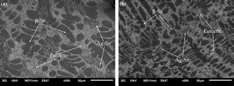 Microstructure Of Sn 3 8ag 0 7cu Xcuznal Solder Alloy A X 0 B X 0 5 Download Scientific