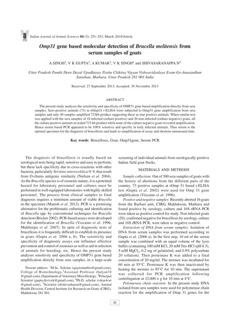 Pdf Omp31 Gene Based Molecular Detection Of Brucella Melitensis From Serum Samples Of Goats