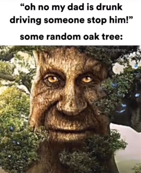 Wise Mystical Tree R Antimeme