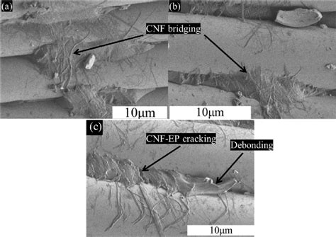 Fracture Surface Of Gf Cnfs Ep Composites At Higher Magnification For Download Scientific