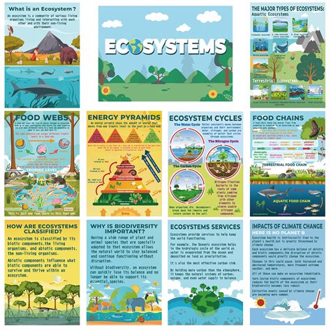 11 Pcs Science Posters For Classroom Ecosystems Teaching Poster Ecosystems