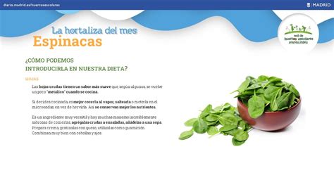 La Hortaliza Del Mes Espinaca Huertos Escolares Sostenibles