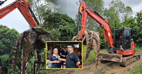 ម្ចាស់កសិដ្ឋានចិញ្ចឹមក្រពើនៅថៃ សុខចិត្តសម្ល ា ប់សត្វក្រពើទាំងអស់ ១២៥ ក្បាល