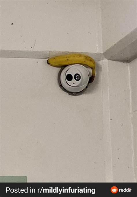 Banana Stalker Observer Of All Rbossfight