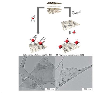 Schematic Representation Of Functionalized Qds Stacked On Exfoliated