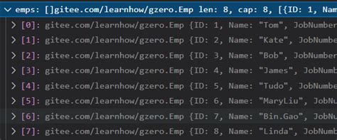 Lightweight Orm Framework Gzero Guide