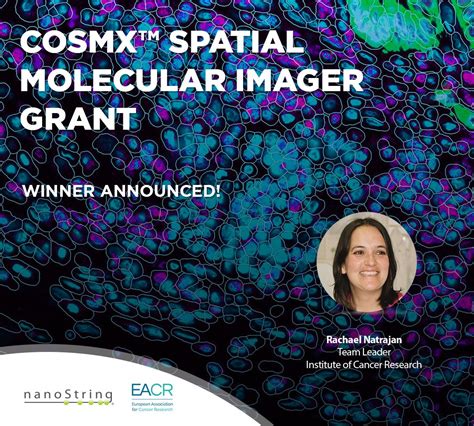 Singlecellspatial Breastcancer Researchgrant Nanostring Technologies Inc