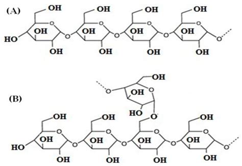 Chemical Structure Of Starch