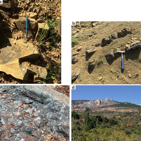 A Triangular Qfl Diagram For Sandstone Classification After Mcbride Download Scientific