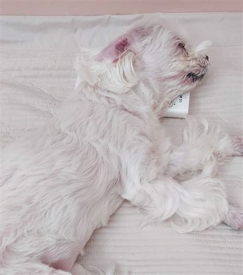 설민석 새벽에 잠깐 깨 에어컨을 틀고 다시 아침에 일어나서 리모컨을 찾는데 어딨는지 도무지 찾을