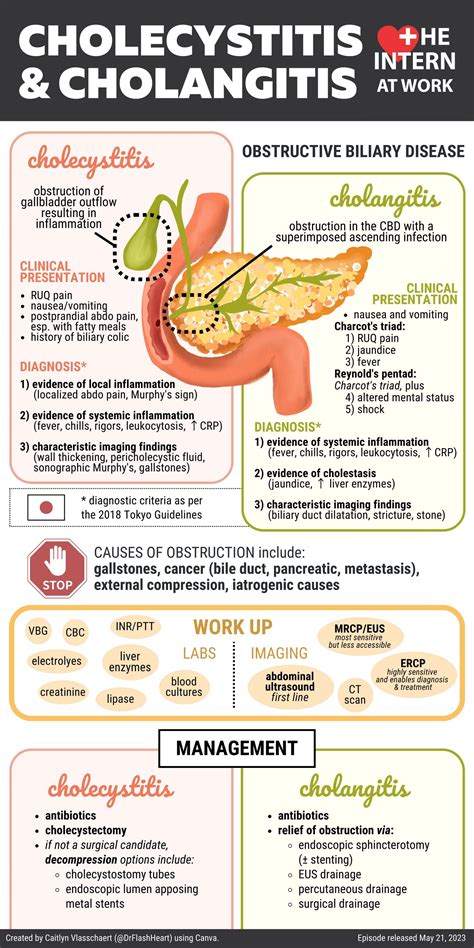 Cholecystitis And Cholangitis — The Intern At Work Cholecystitis And Cholangitis — The Intern At Work