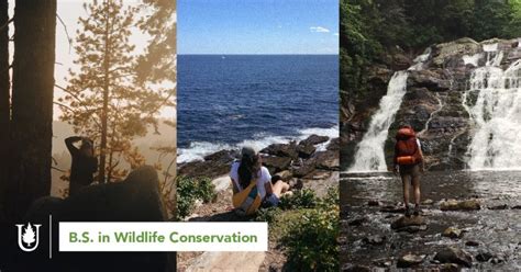 Unity Environmental University On Linkedin Environmentalscientist Unitycollege Sustainability…