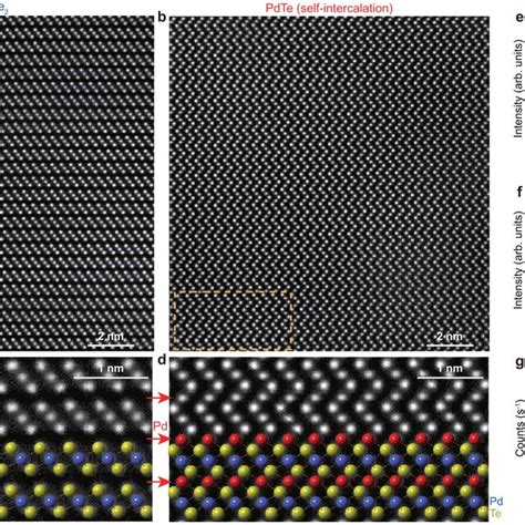 Experimental Evidences Supporting Self Intercalation Of Pdte2 Into