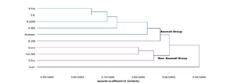 UPGMA Dendrogram Showing Genetic Similarity And Phylogenetic