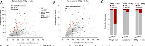 Figure 1 From Tandem Duplications Contribute To Not One But Two