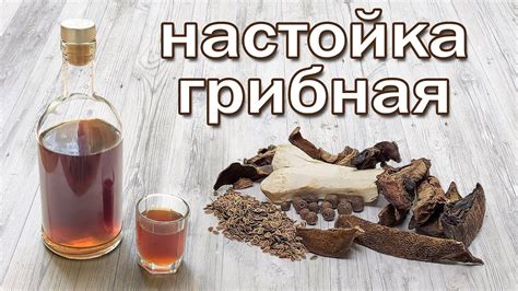 Домашняя грибная настойка под шашлык и другие мясные закуски - YouTube