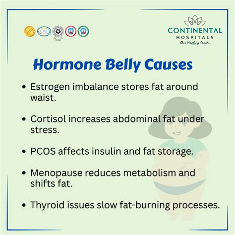 Top Causes Of Hormone Belly In Women