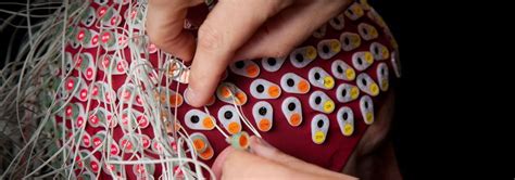 Marcs Marcs Institute For Brain Behaviour And Development