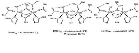 Methane Monooxygenase 1 Chemistry Libretexts