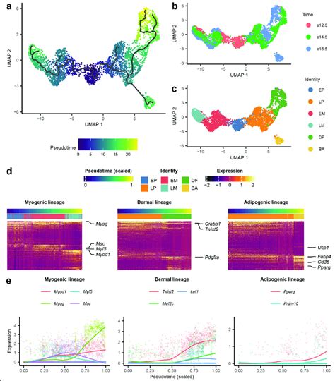 Pseudotime Trajectory And Its Correlation With Gene Expression In Download Scientific Diagram