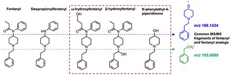 Targeted And Non Targeted Analysis Of Fentanyl Analogs And Their Potential Metabolites Using Lc Qtof