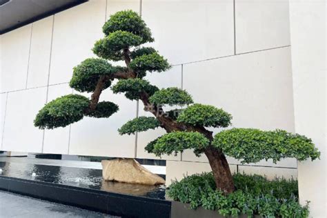 金基瞻月府实景图6 南京金基瞻月府实景图图片大全 吉屋网