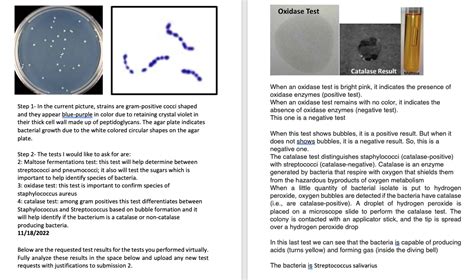 solved please answer these questions 3 7 with the