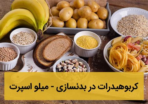 تیپ بدنی اندومورف در بدنسازی میلو فیت
