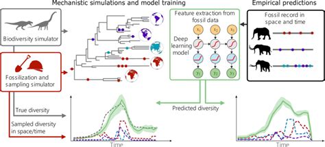 Representation Of The Deepdive Workflow Biodiversity Simulations