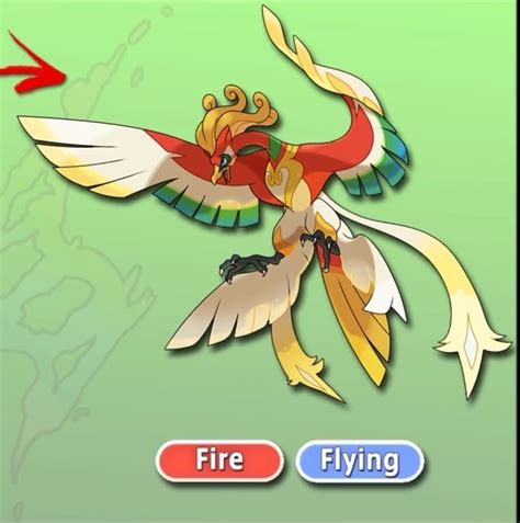 Mega Satoshi Ash Charizard Artofit