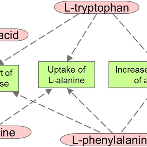 Ingenuity Pathway Analysis Ipa Pathway Enrichment Analysis Was