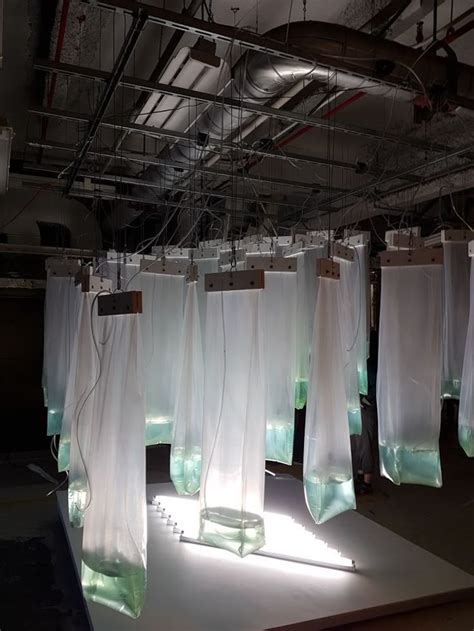 M P Adl Kullan C N N Ah Panosundaki Pin