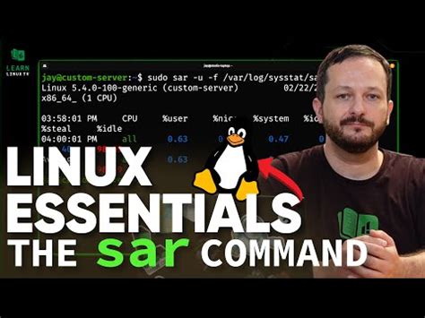 Linux Essentials The Sar Command Edupe