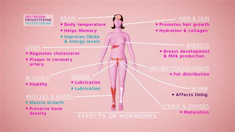 Menopause Symptoms