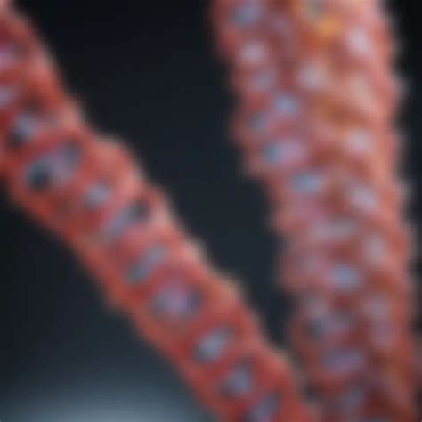 Understanding Trna And Codon Interaction In Protein Synthesis