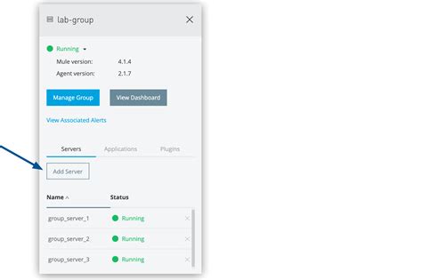 サーバーグループへのサーバーの追加 Mulesoft ドキュメント