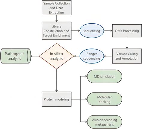 the flowchart illustrates the sequencing and computer simulation