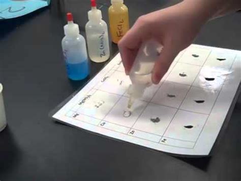 Activity Series Lab Answers BabeWorkHelper