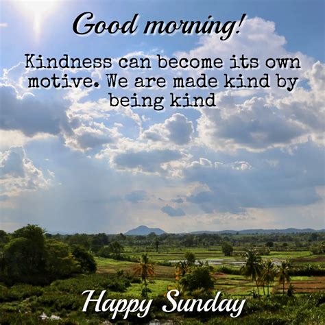 Mahesh Nanayakkara Maheshnanayakkara • Instagram Photos And Videos